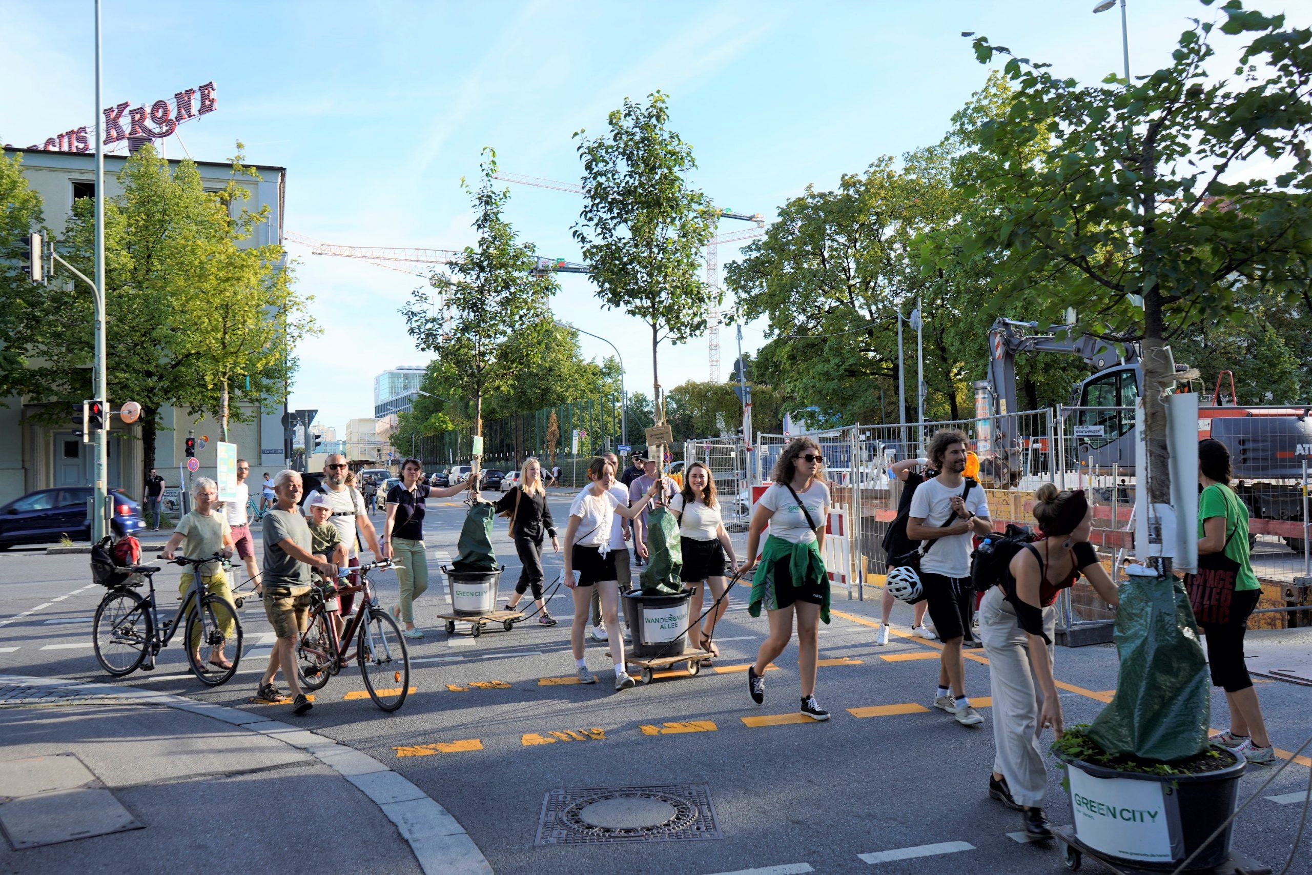 Wanderbaum Gießpat*innen in der Oberländerstraße gesucht! - GreenCity e.V.